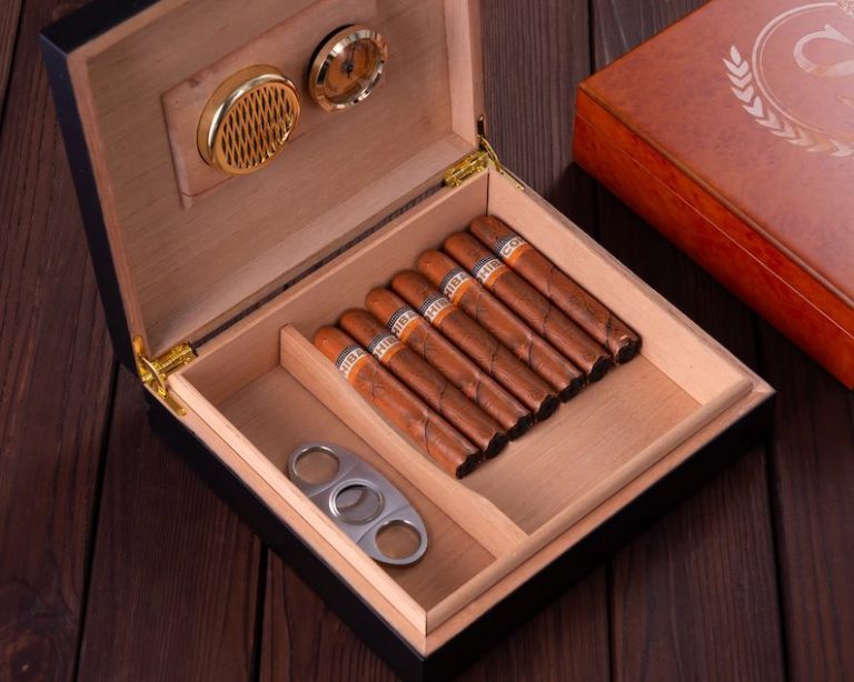 Tupperdor vs. Humidor - Choosing the Perfect Habitat for Your Cigars ...
